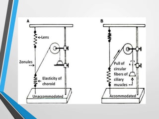 Accommodation: Theories and Mechanism | PPTX