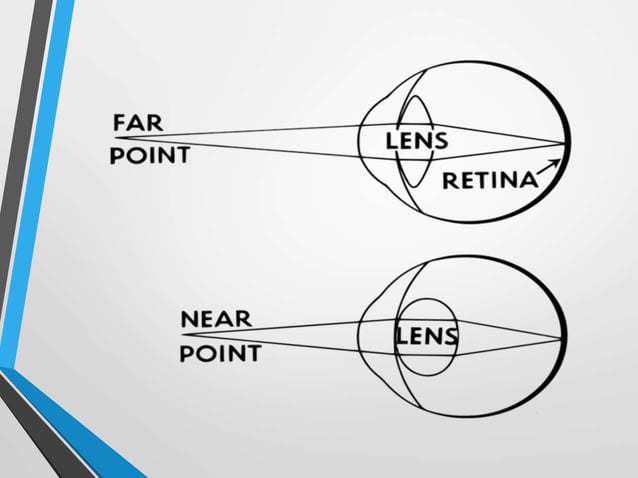 Accommodation: Theories and Mechanism | PPTX | Eye and Vision ...