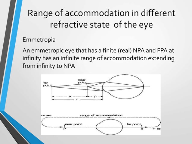 Accommodation: Theories and Mechanism | PPTX | Eye and Vision ...