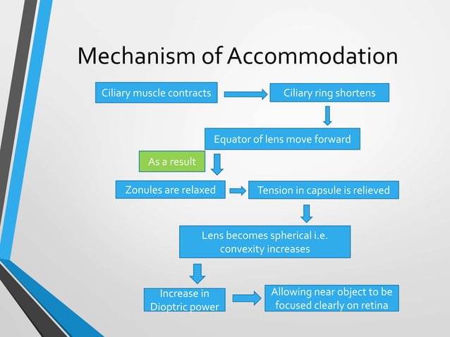 Accommodation: Theories and Mechanism | PPTX | Eye and Vision ...