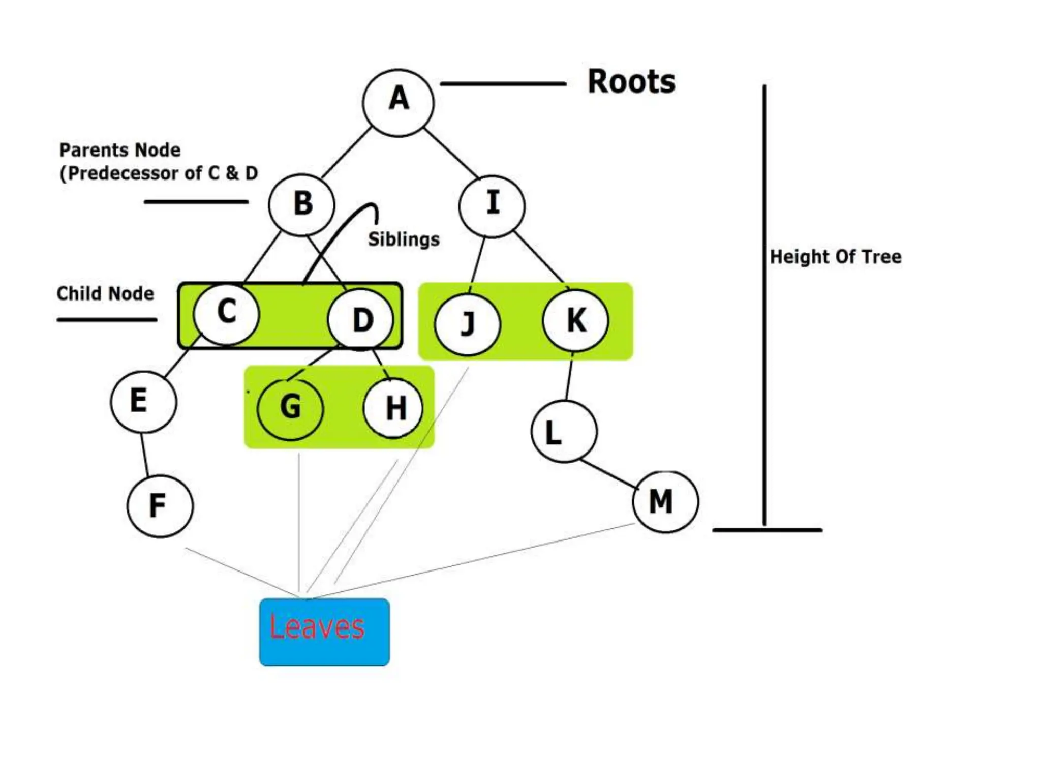 DATA STRUCTURE CLASS 12 .pptx
