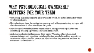 accountability and ownership.pdf | Business and Finance