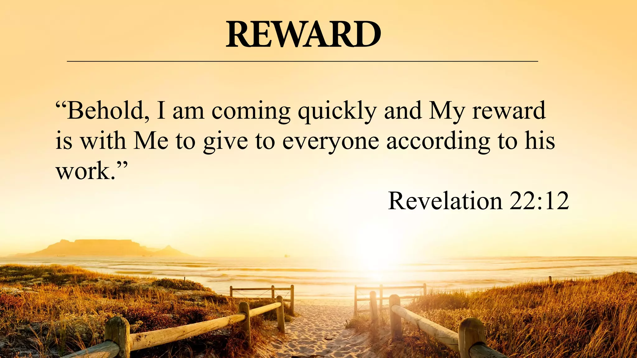 Accountability and reward | PDF