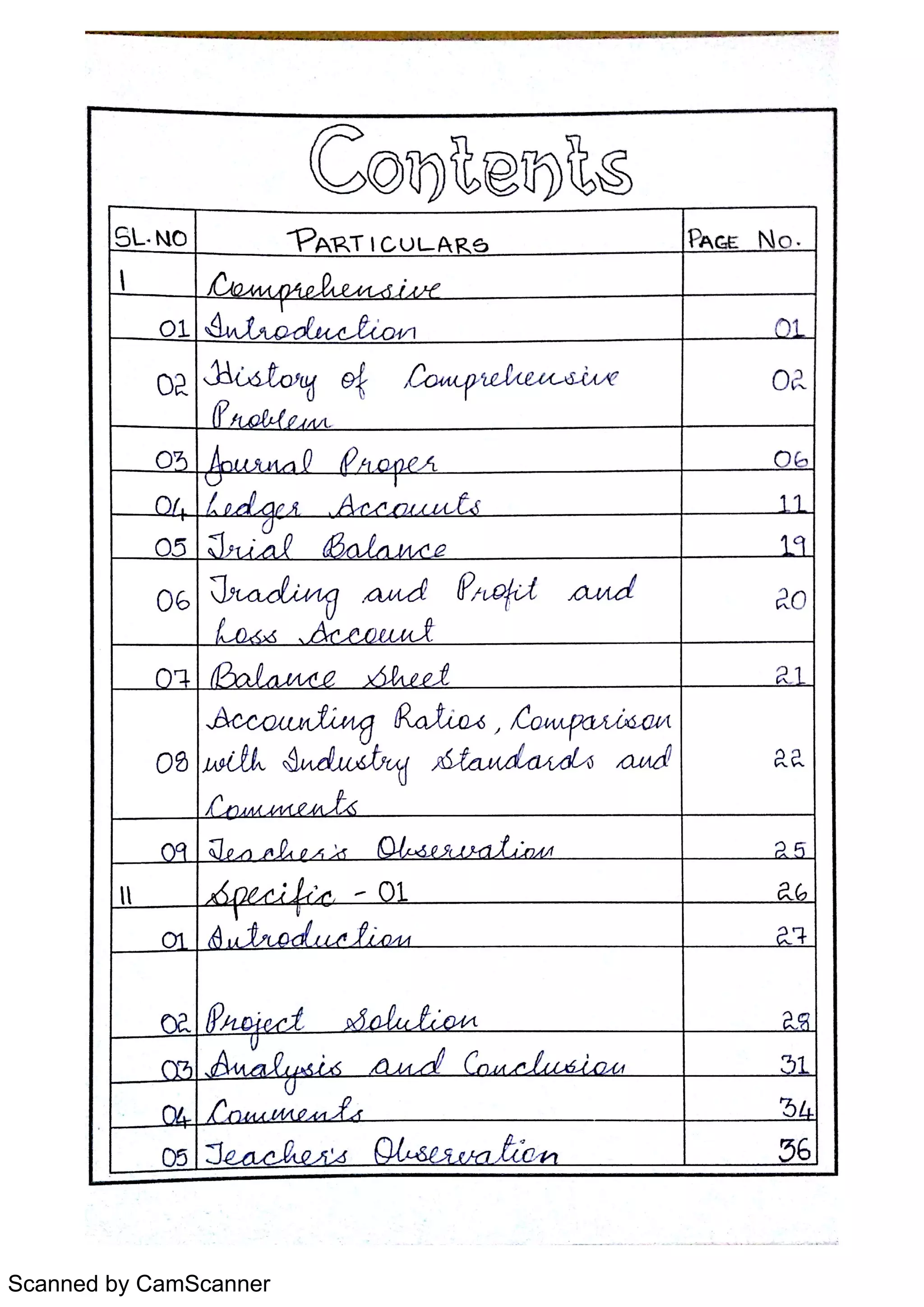 Accountancy Class 12 project cbse | PDF
