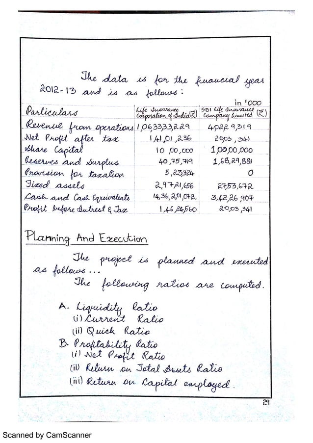 Accountancy Class 12 project cbse | PDF