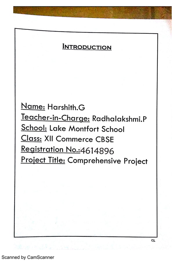 Accountancy Class 12 project cbse | PDF