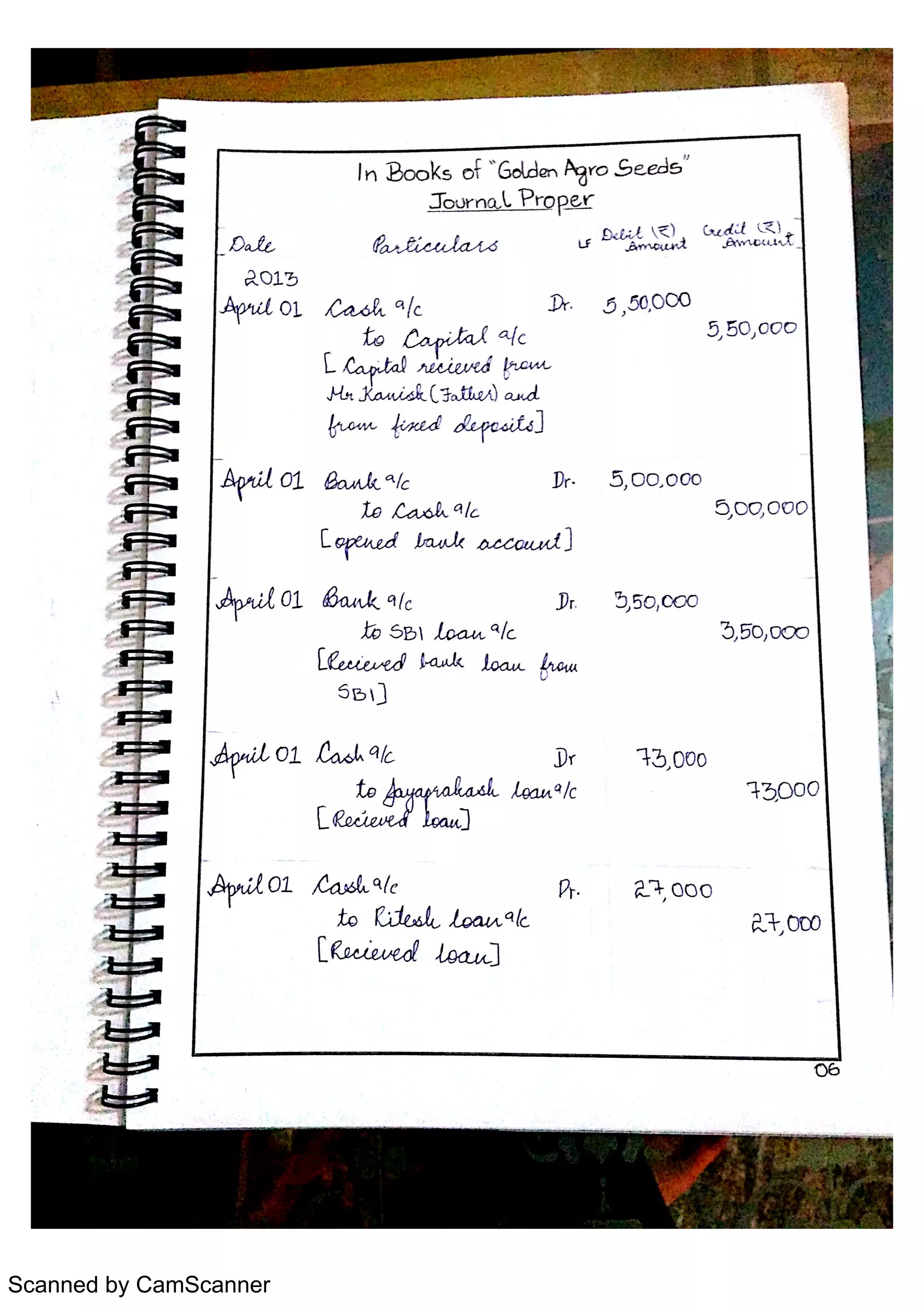 Accountancy Class 12 Project | PDF