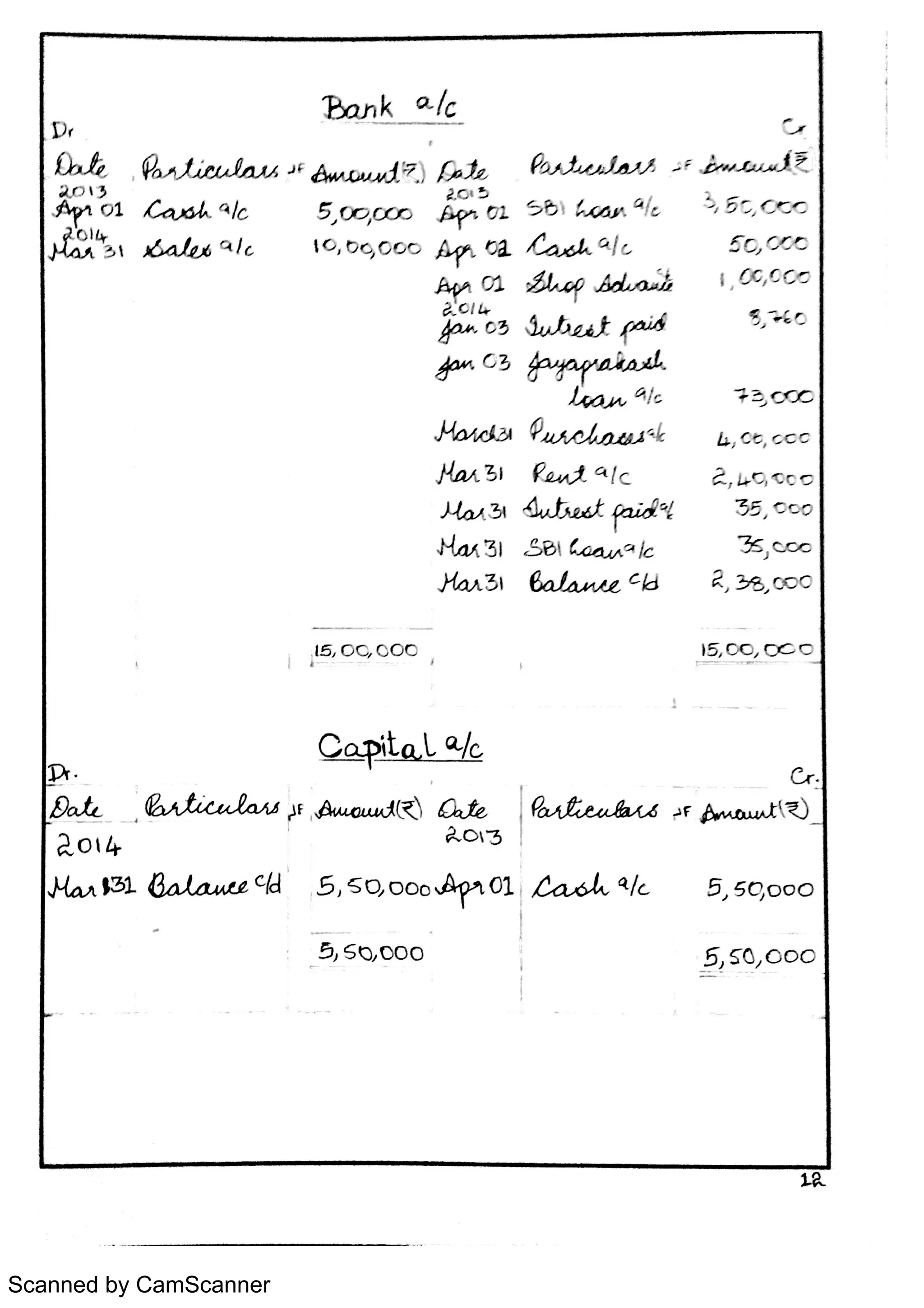 Accountancy Class 12 Project | PDF