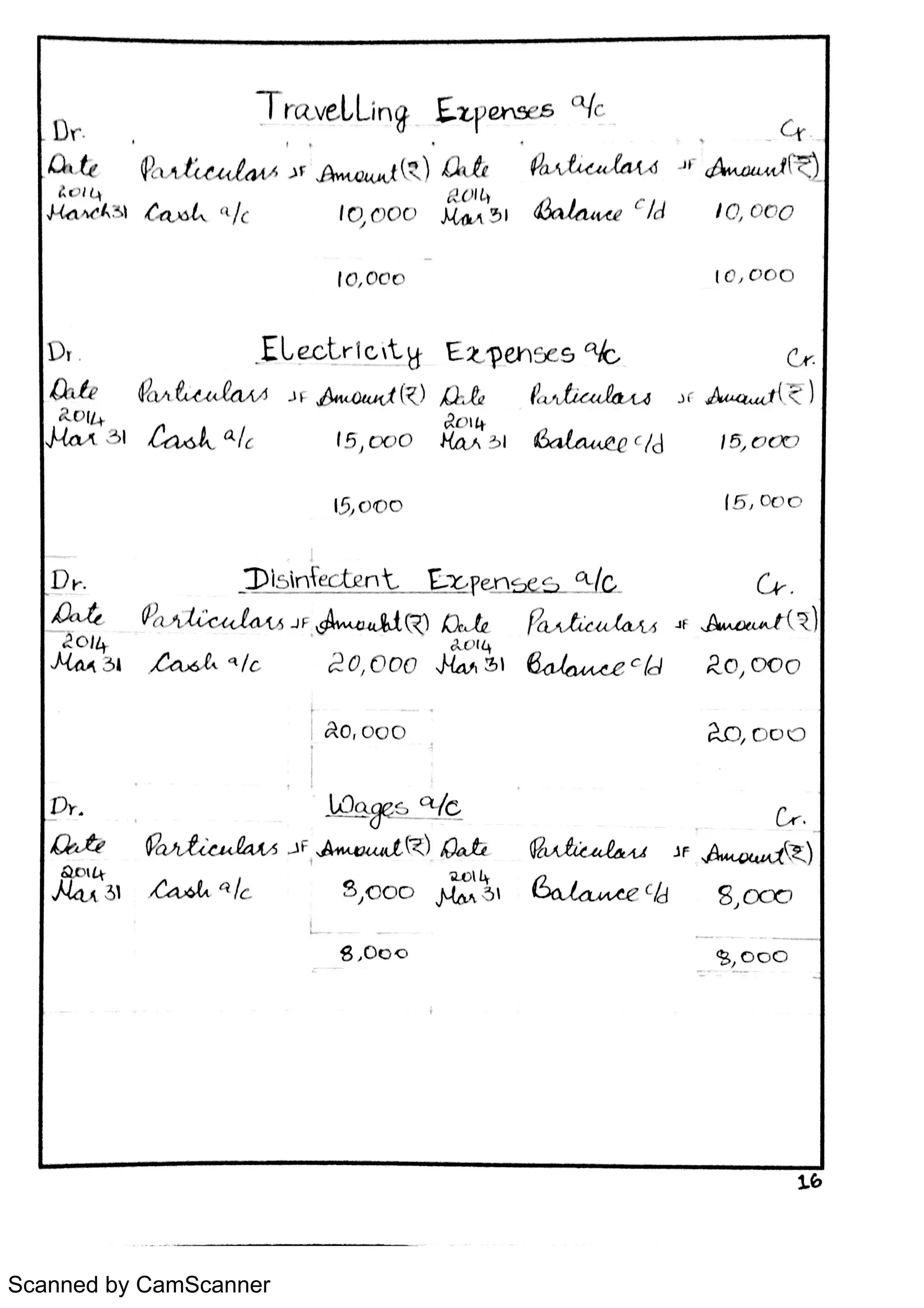 Accountancy Class 12 Project | PDF