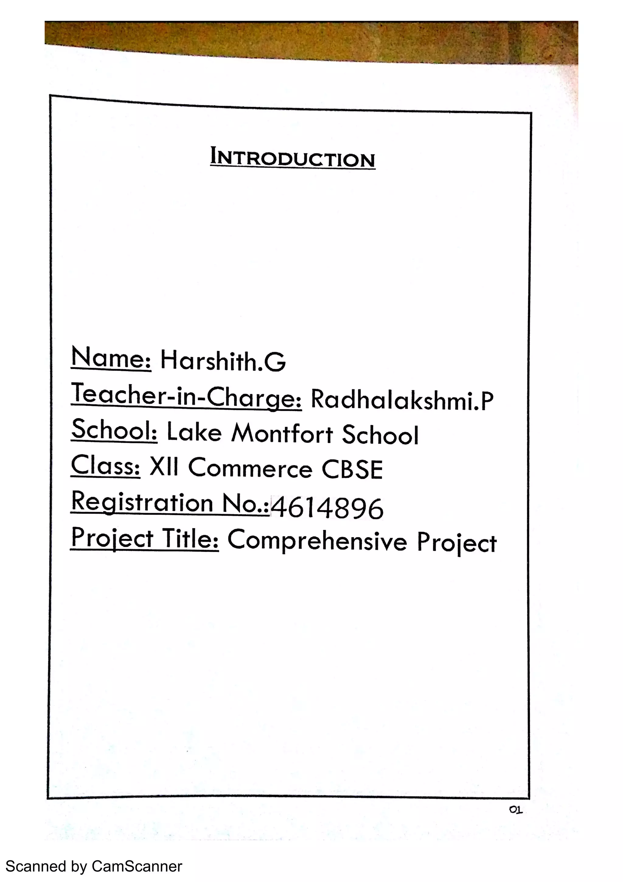 Accountancy Class 12 Project | PDF