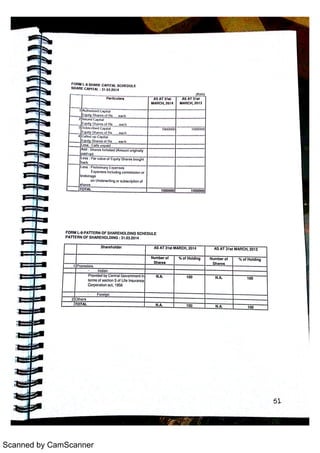 Accountancy Class 12 Project | PDF