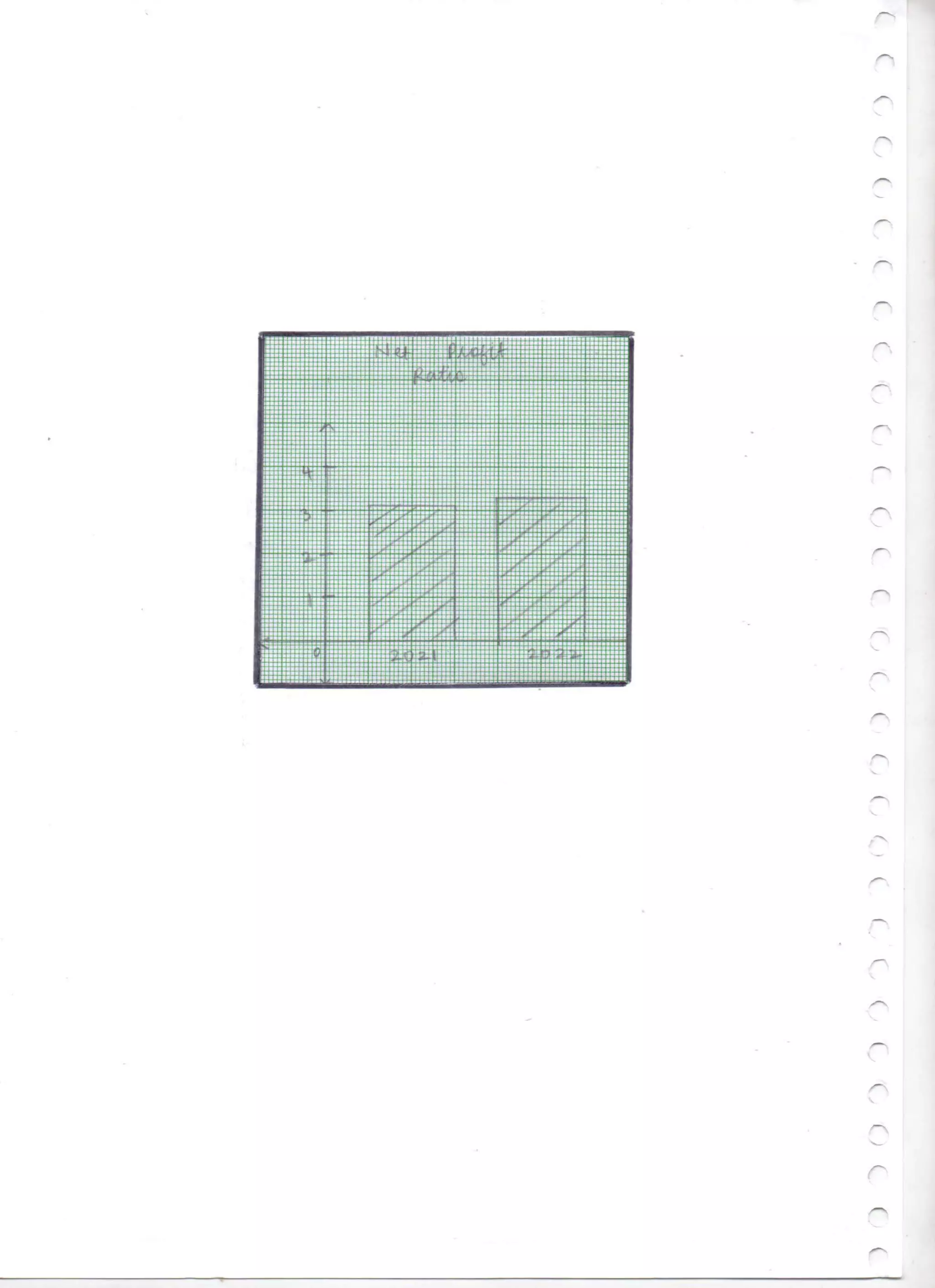 Class 12 Accountancy Project 2022-23 | PDF