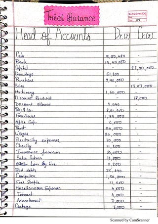 Accountancy project class 11 | PDF