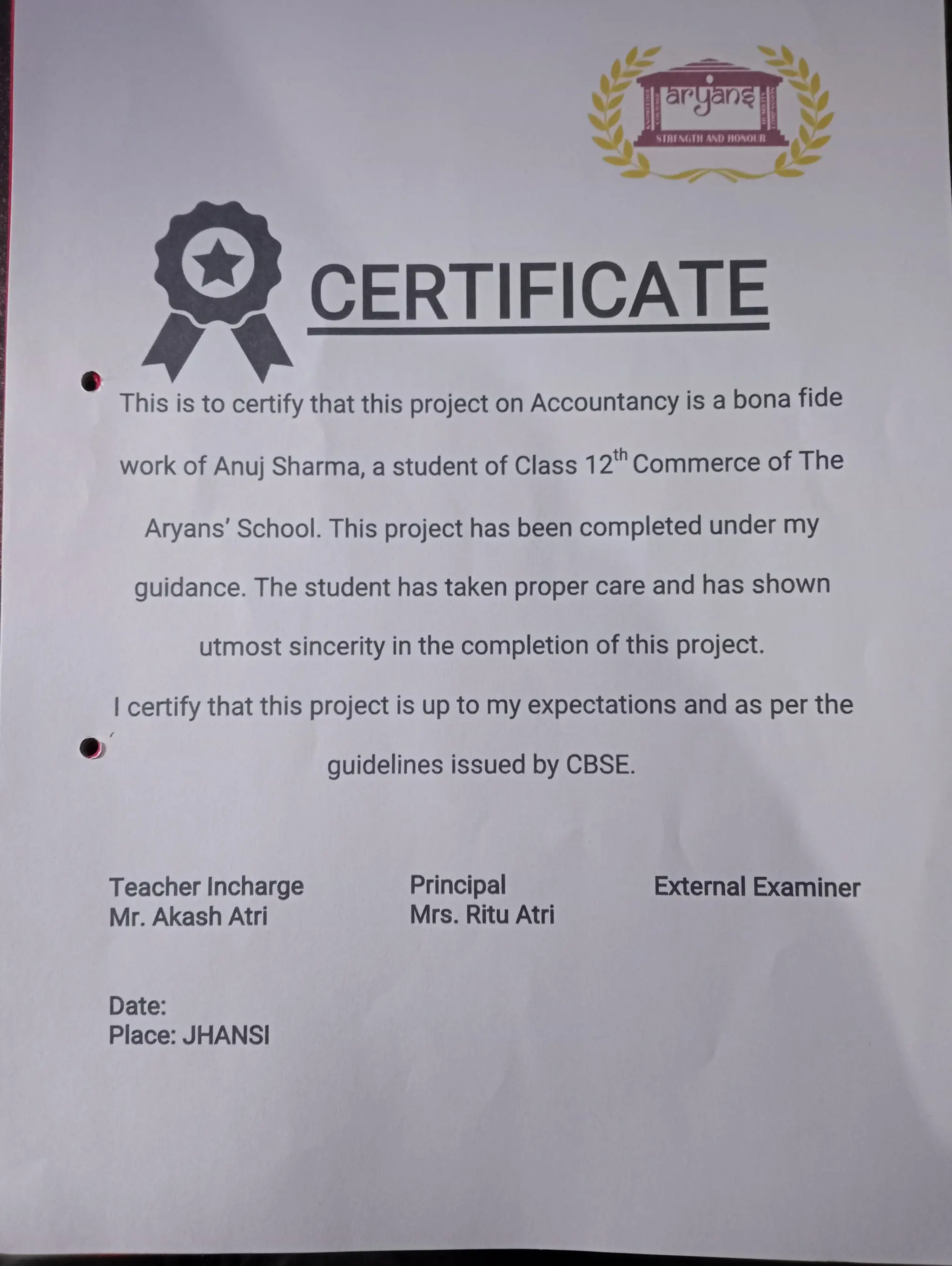 Accountancy Project (Hero Motocorp Ltd).pdf