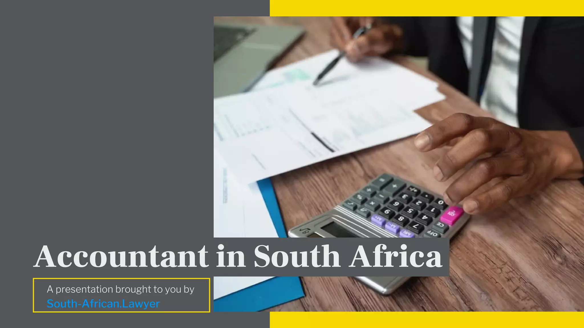 Accountant in South Africa | PDF