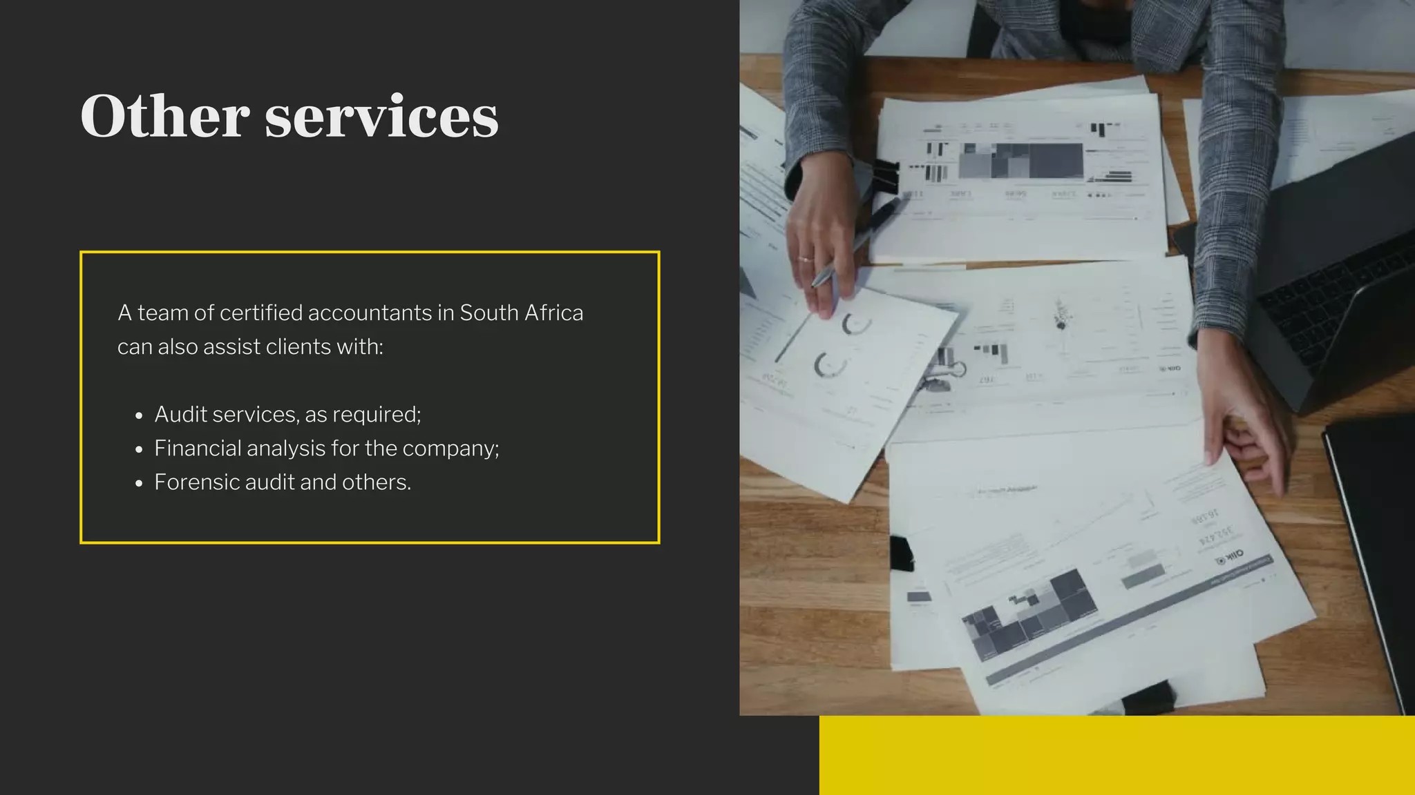 Accountant in South Africa | PDF