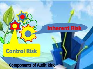 Audit Risk | PPTX
