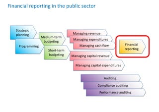 Accounting in the public sector | PDF