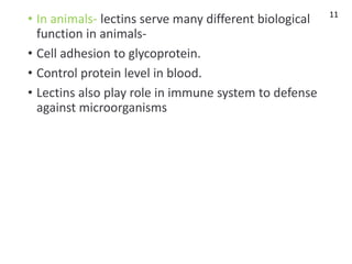Account of lectins | PPT