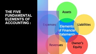 Accounts-and-Audit-Group Company act 1994 | PDF