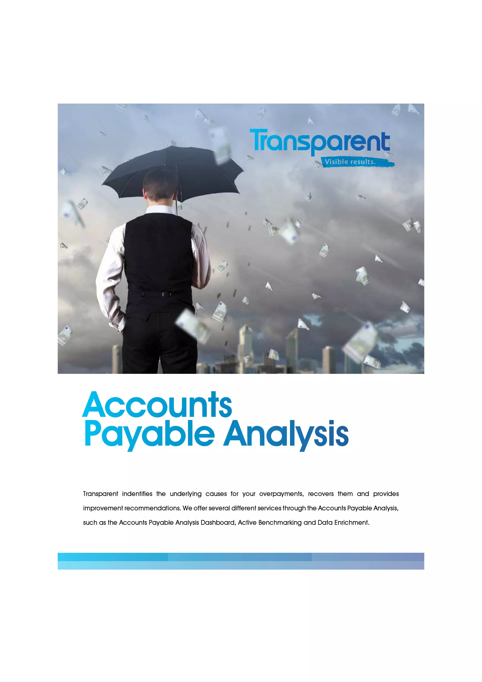Accounts Payable Analysis | PDF