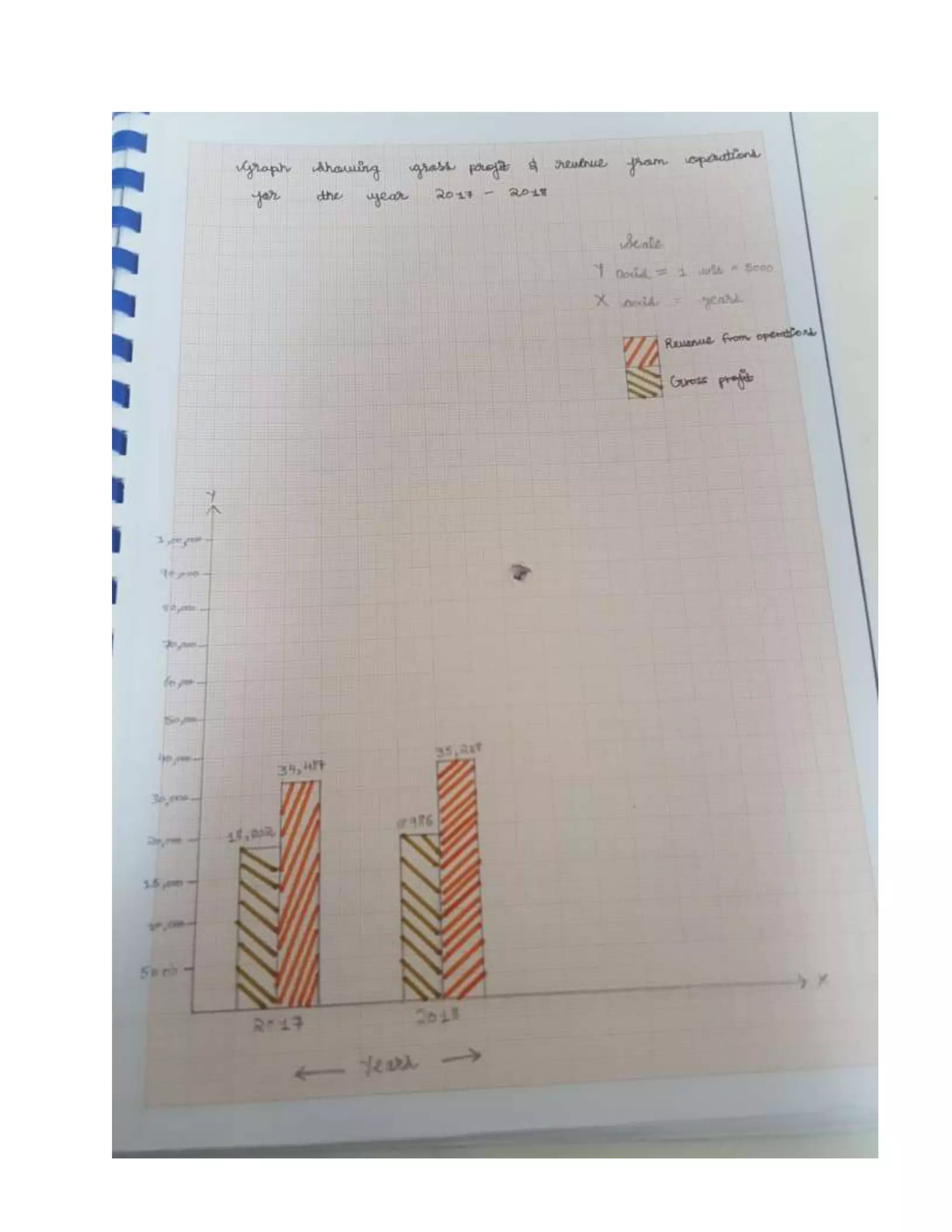 CBSE Accountancy project grade 12 (2018-19) | DOCX