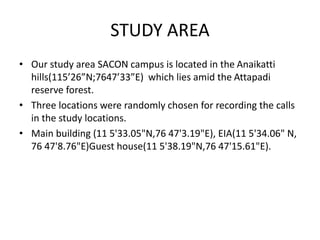 ACCOUSTICS COMMUNICATION OF NOCTURNAL BIRDS IN SACON CAMPUS.pptx