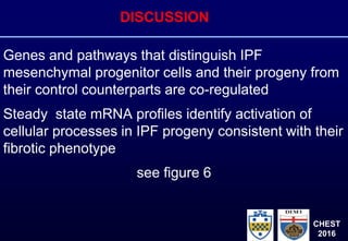 Idiopathic Pulmonary Fibrosis | PPT