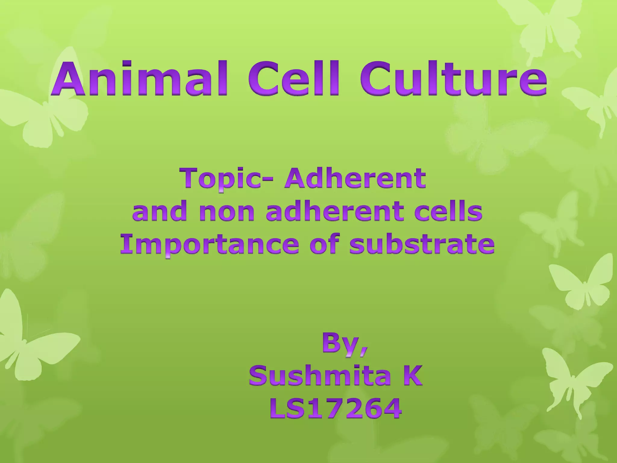 Adherent and non adherent cells- Importance of substrate in cell ...