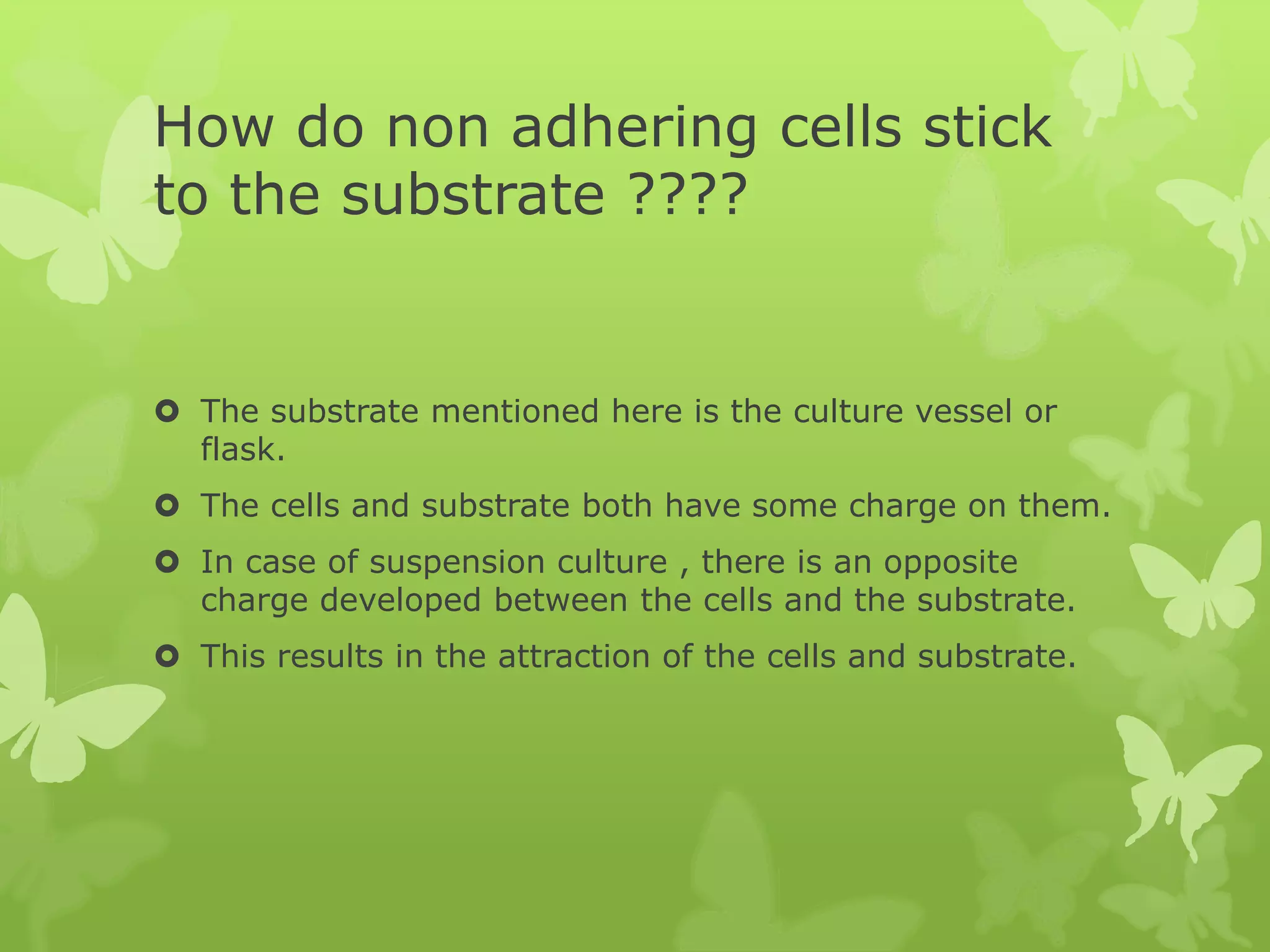 Adherent and non adherent cells- Importance of substrate in cell ...