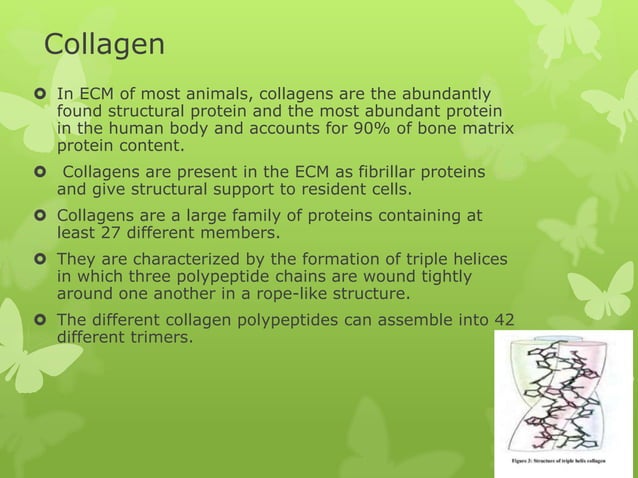 Adherent and non adherent cells- Importance of substrate in cell ...
