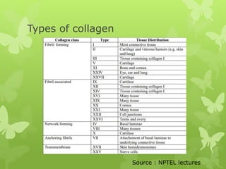 Adherent and non adherent cells- Importance of substrate in cell ...