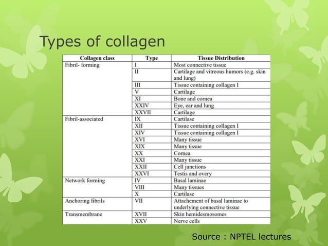 Adherent and non adherent cells- Importance of substrate in cell ...