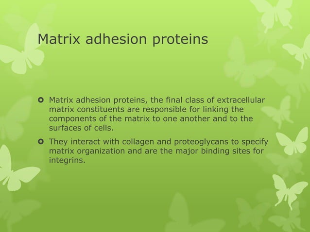 Adherent and non adherent cells- Importance of substrate in cell ...
