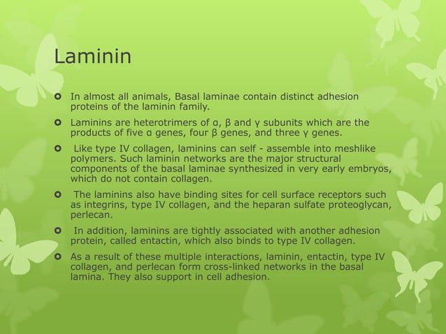 Adherent and non adherent cells- Importance of substrate in cell ...