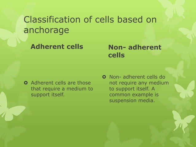 Adherent and non adherent cells- Importance of substrate in cell ...