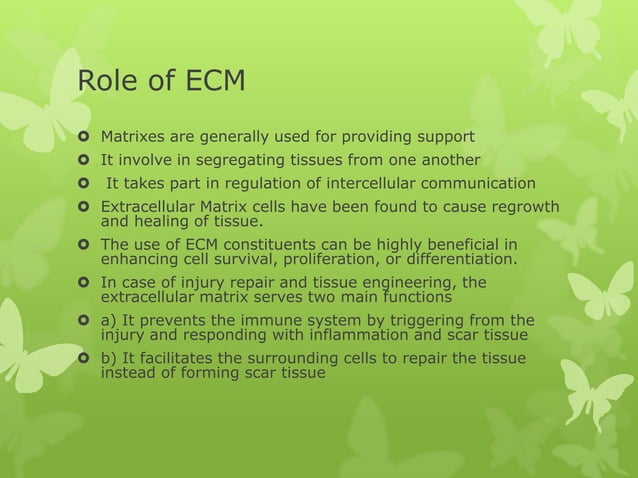 Adherent and non adherent cells- Importance of substrate in cell ...