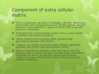 Adherent and non adherent cells- Importance of substrate in cell ...