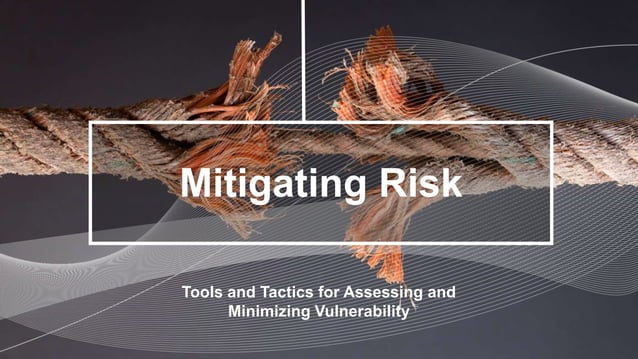 Managing It Risk And Assessing Vulnerability Ppt