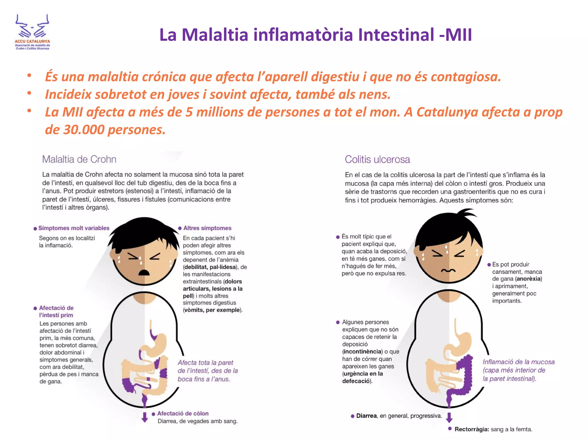 ACCU Catalunya | PPT