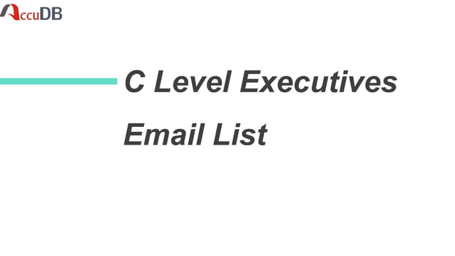 C Level Executives | DOC | Business Accounting & Finance | Business