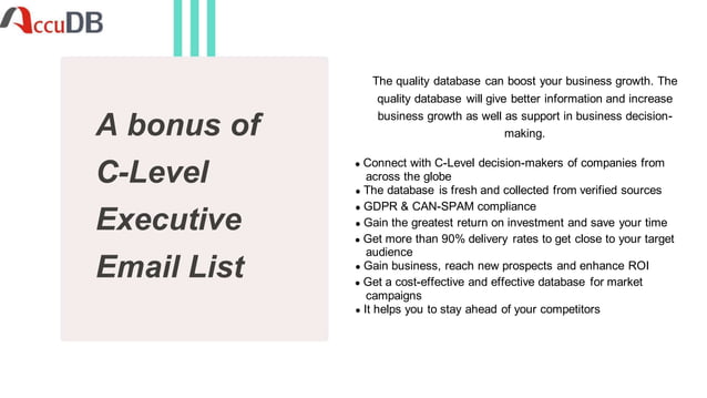 C Level Executives | DOC | Business Accounting & Finance | Business