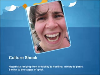 Stages of Acculturation | PPTX