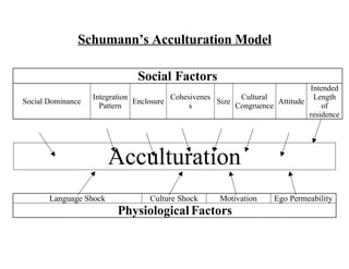 Acculturation Model | DOC