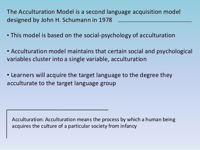 Acculturation model
