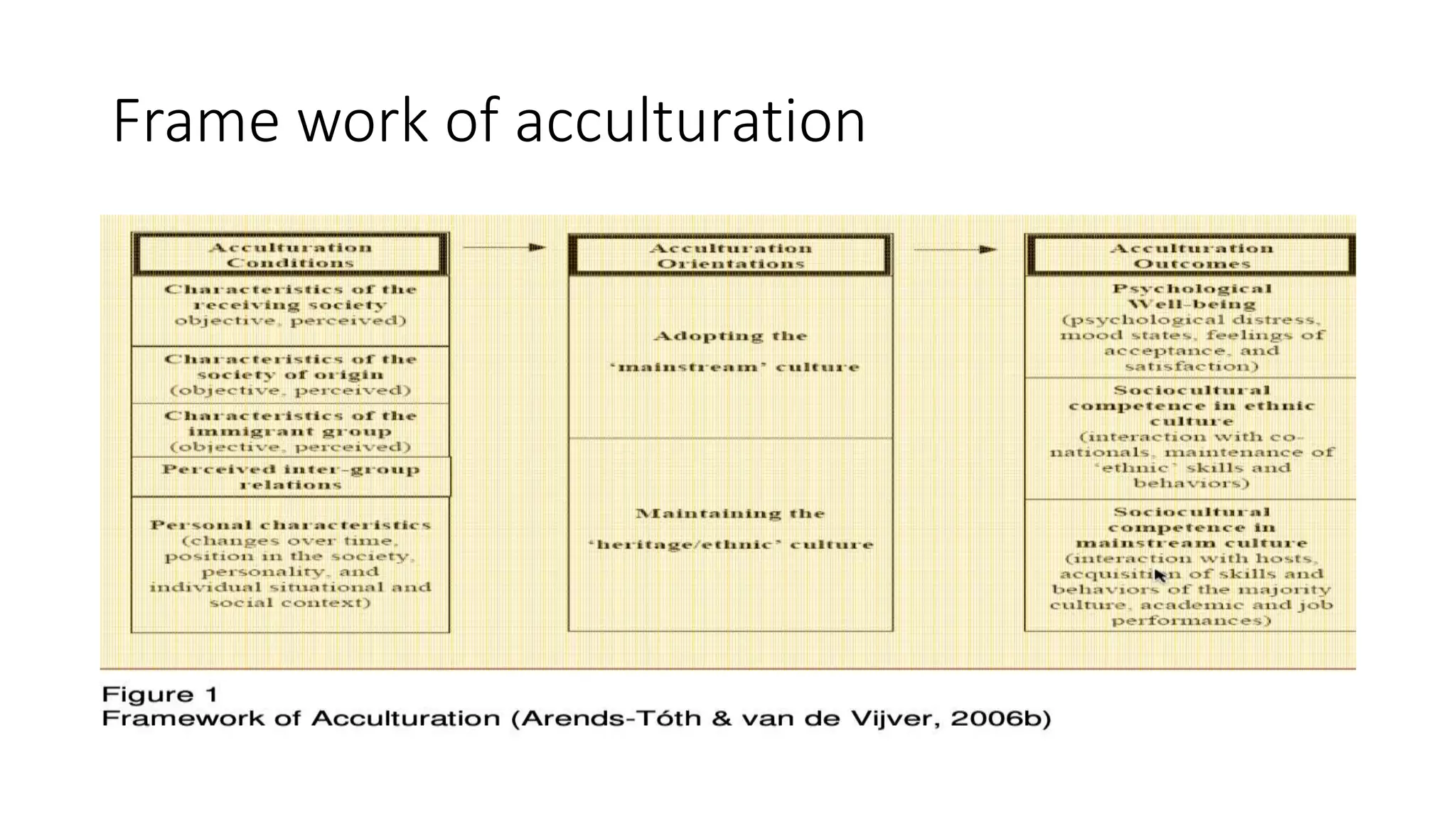 Acculturation theory.pptx