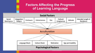 Acculturation Theory Model and Proponent | PPTX