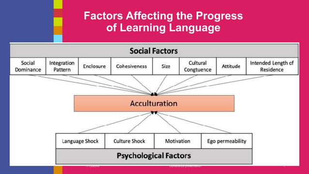 Acculturation Theory Model and Proponent | PPTX | Education