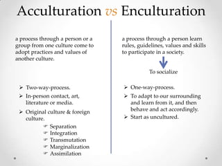 Acculturation vs encalturation | PDF