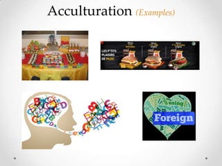 Acculturation vs encalturation | PDF